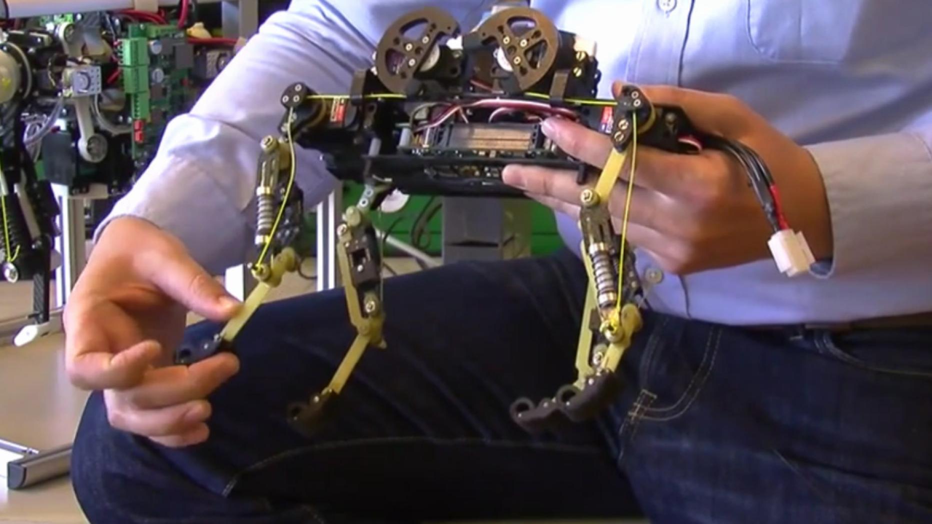 ETH Lausanne entwickelt Katzen-Roboter ETH Lausanne entwickelt Katzen-Roboter