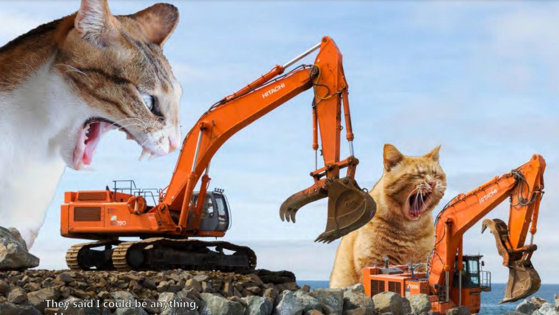 US-Armee blamiert sich mit Katzen-Kalender